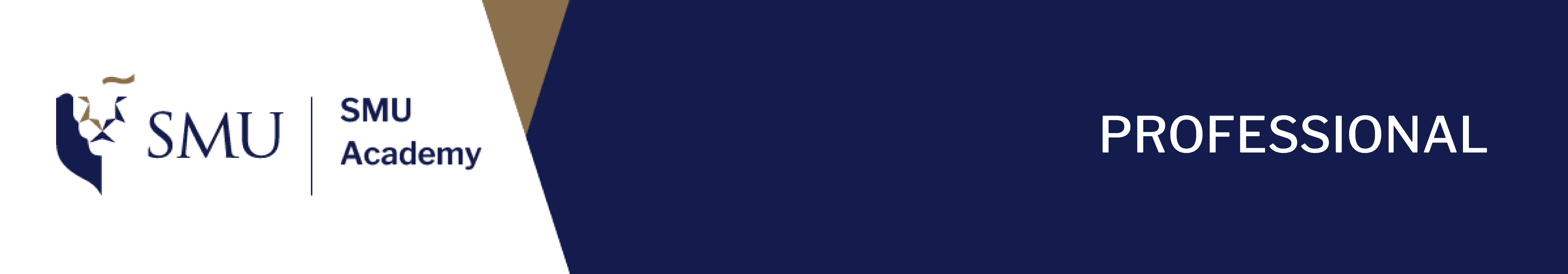 Industry Graduate Diplomas (IGDs) | SMU Academy