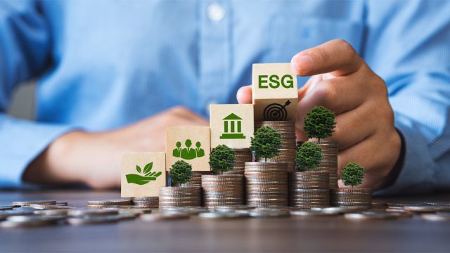 ESG Risk Management and Sustainable Finance | SMU Academy