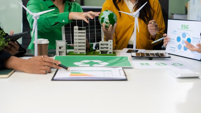 Sustainability Project Management | SMU Academy