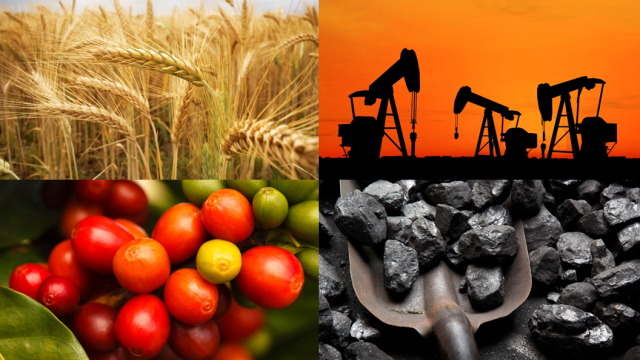 An Insight into Commodity Trading Firms from a Financing Perspective ...